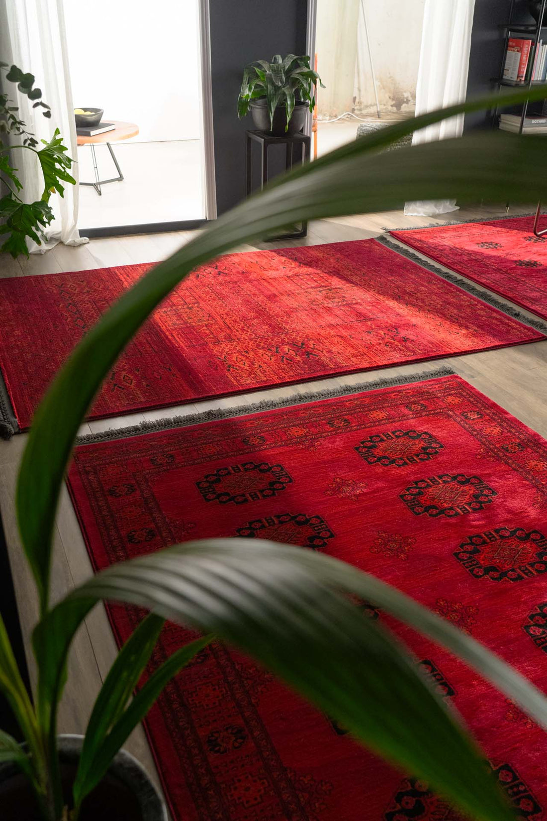 Χαλιά Royal Carpet – Χαλια Royal Carpet